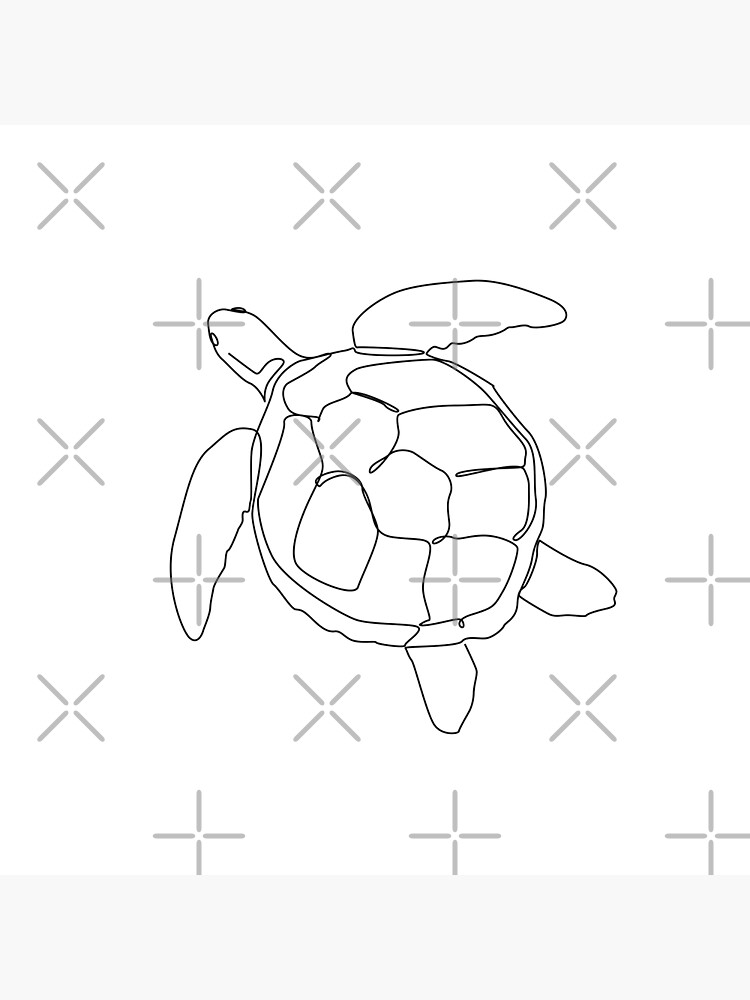 "Turtle Line Art Simple Drawing" Poster for Sale by paradisart | Redbubble