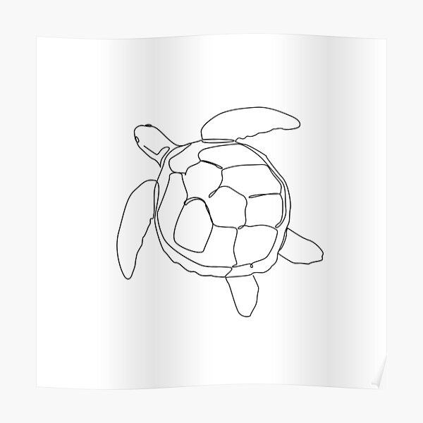 "Turtle Line Art Simple Drawing" Poster for Sale by paradisart | Redbubble