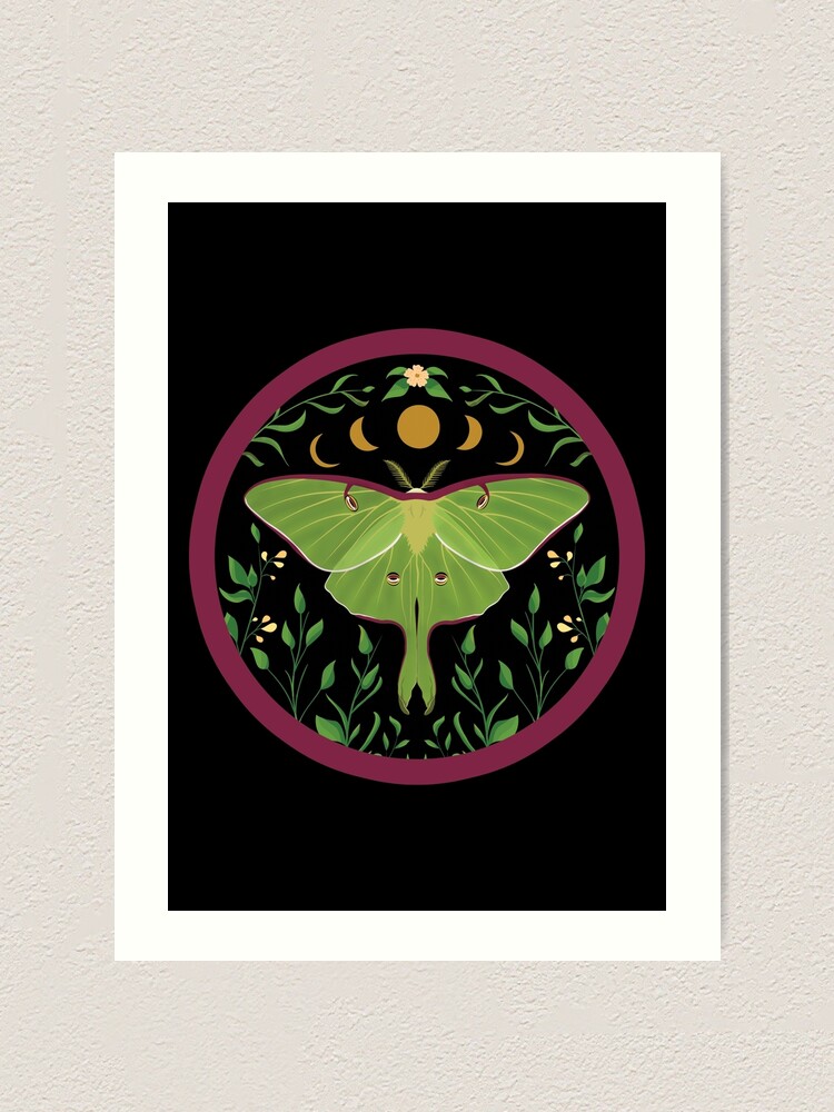 "Luna Moth Graphic | Luna Moth Art | Celestial Moon Moth | Cottagecore ...
