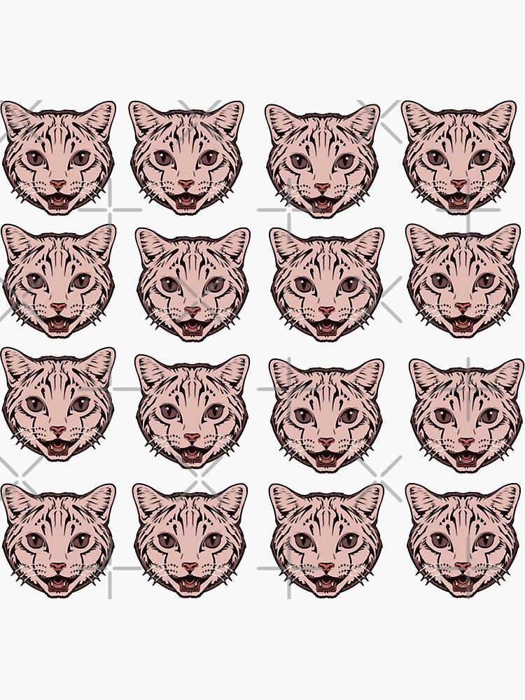 "Rainbow Girls Boys Beluga Cat Concerned About Gift Awesome Anime ...