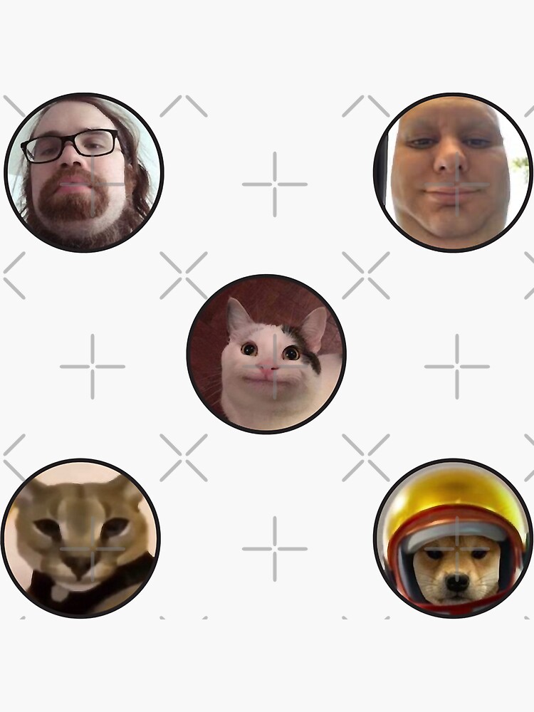 Pegatina «Chicos Chicas Team Beluga Premium Cat Discord Meme Great Men ...