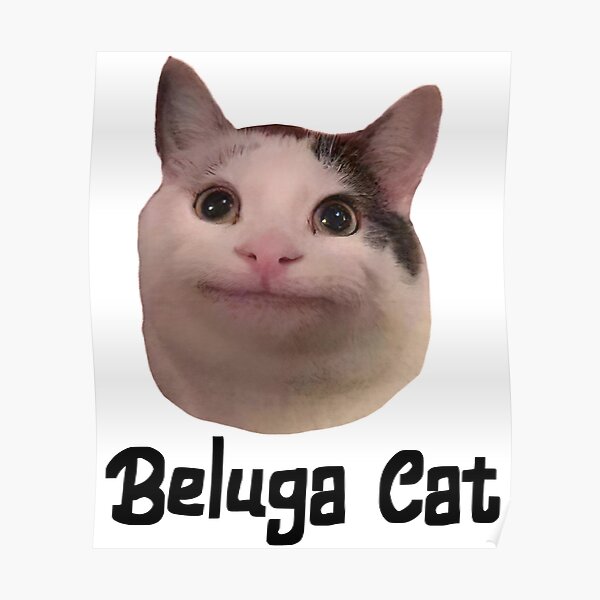 Poster « Aime la musique et le chat béluga Funny Life Discord Music ...