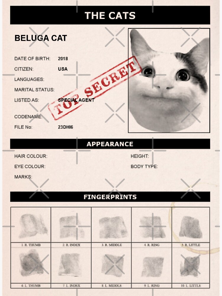 "The Birthday Boy Beluga should Know Cat Agent Vintage Style Art ...