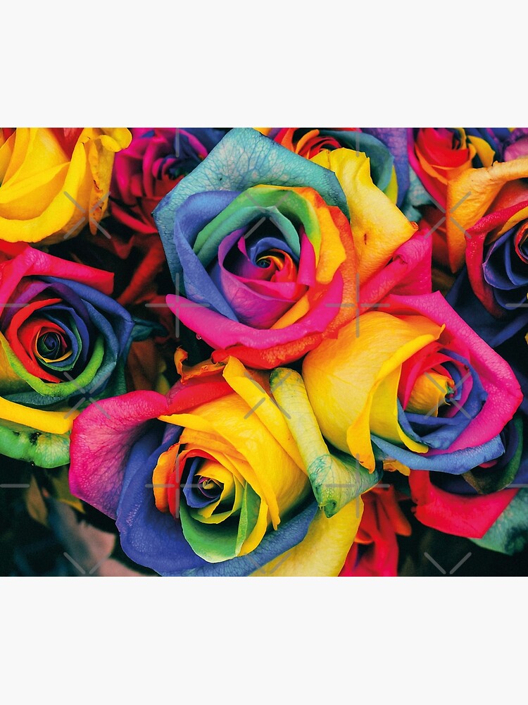 " The most beautiful roses made of rainbow colors, creative design of ...