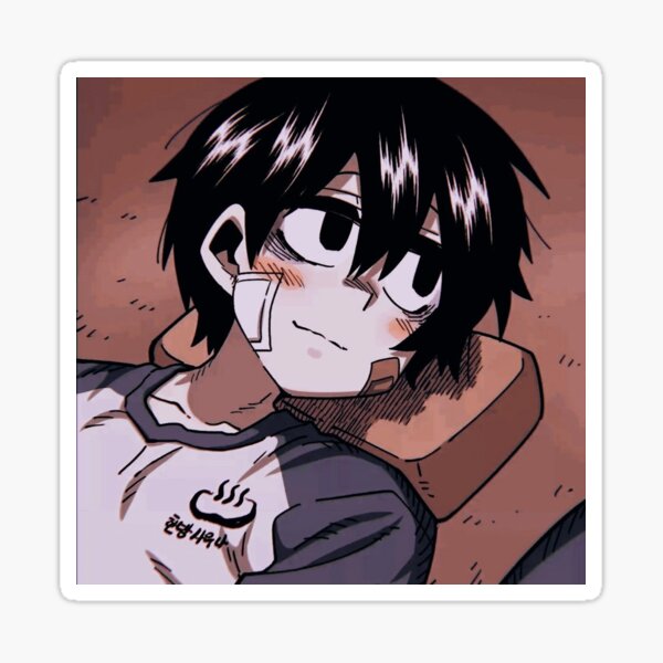 "hooni smiley" Sticker for Sale by SFoxe | Redbubble