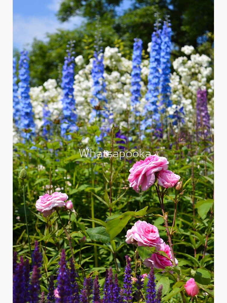"Roses with Delphiniums" Sticker for Sale by Whatsapooka | Redbubble