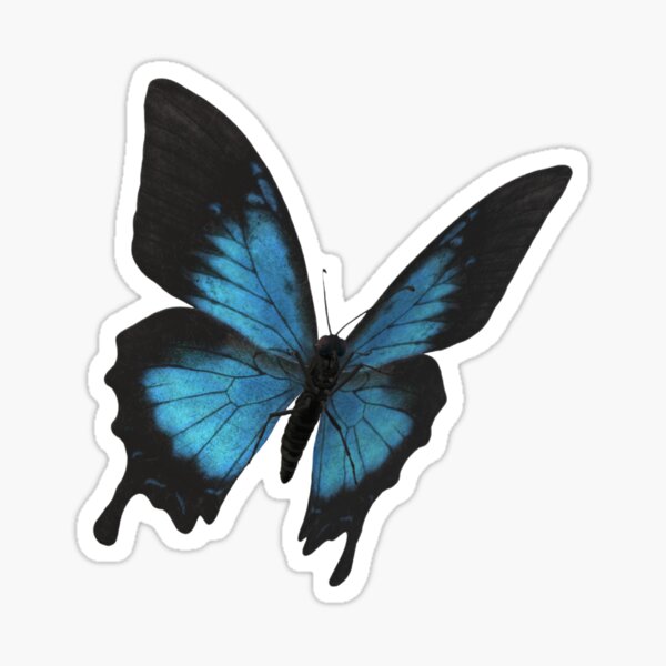 "Pretty Butterfly Pack -Light Blue Butterfly Pack " Sticker for Sale by ...