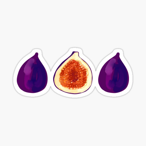 "Simple Vintage Figs" Sticker for Sale by Jennykies | Redbubble
