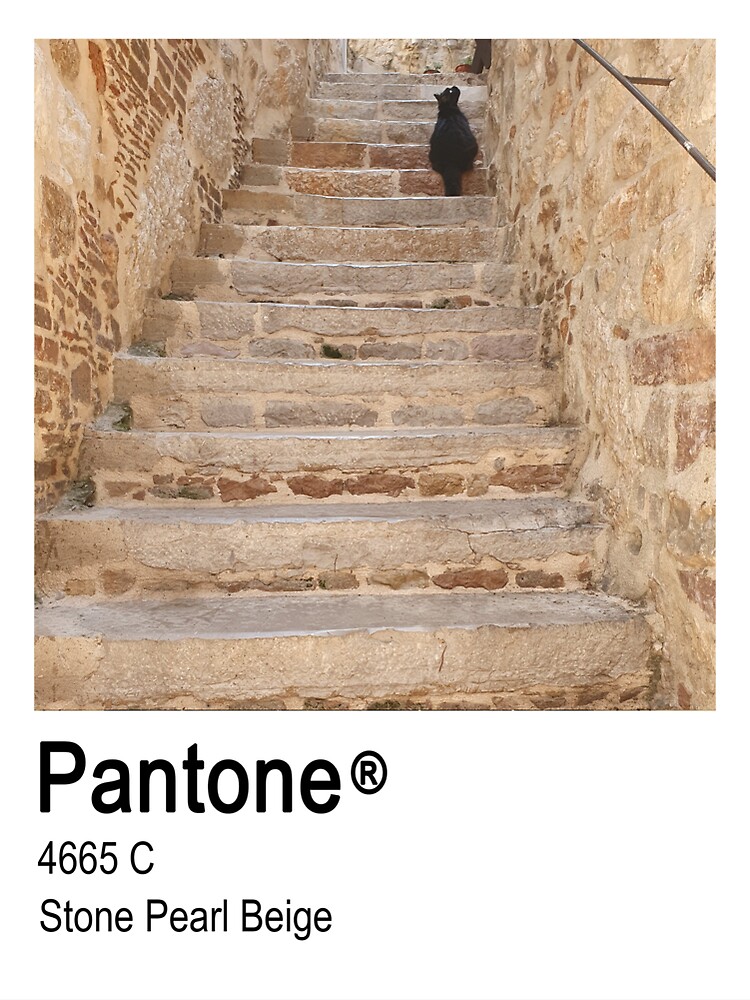 "Pantone Stone Pearl Beige" Sticker for Sale by CameraO | Redbubble