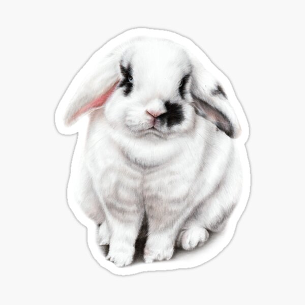 "Fluffy White Rabbit" Sticker for Sale by SemaMartinArt | Redbubble
