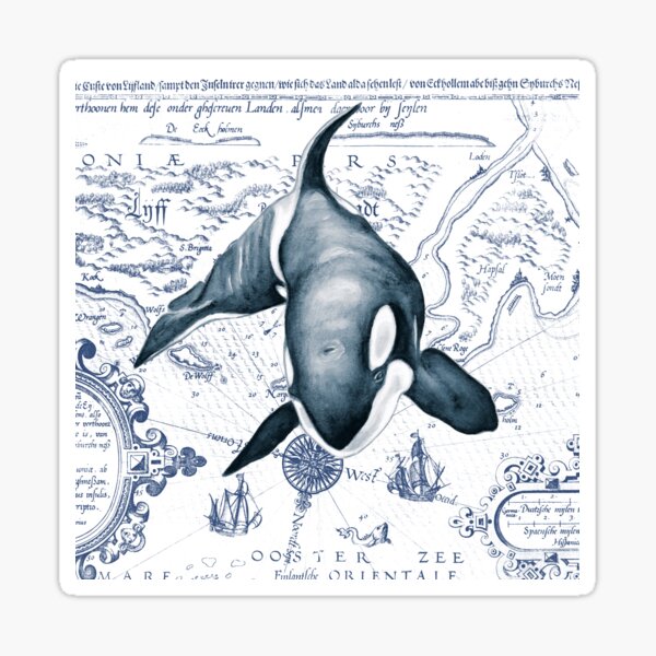 "Orca Vintage Map Blue" Sticker for Sale by eveystudios | Redbubble