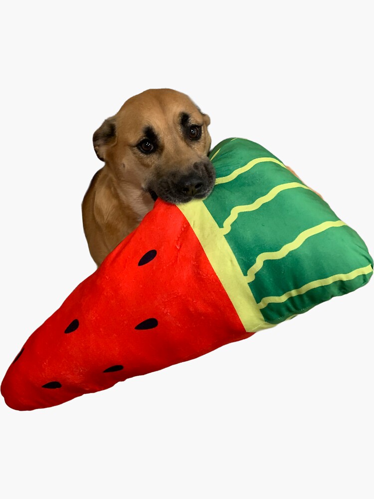 "Watermelon Dog Graphic" Sticker for Sale by OneBodyBoutique | Redbubble