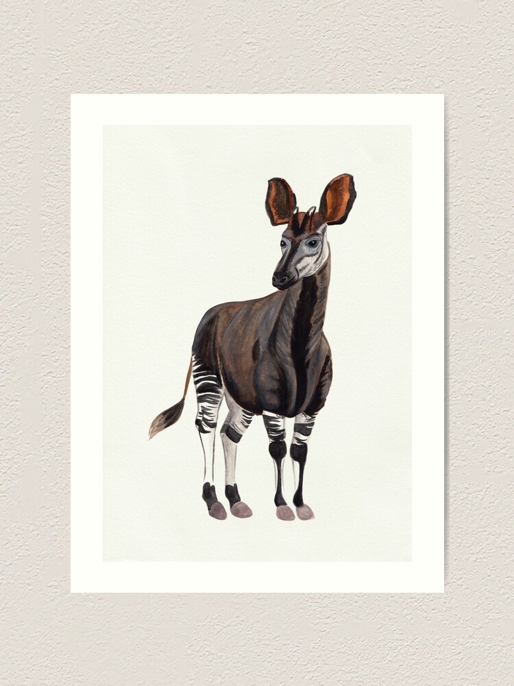 "Watercolour Okapi Drawing" Art Print for Sale by emmajfitz | Redbubble