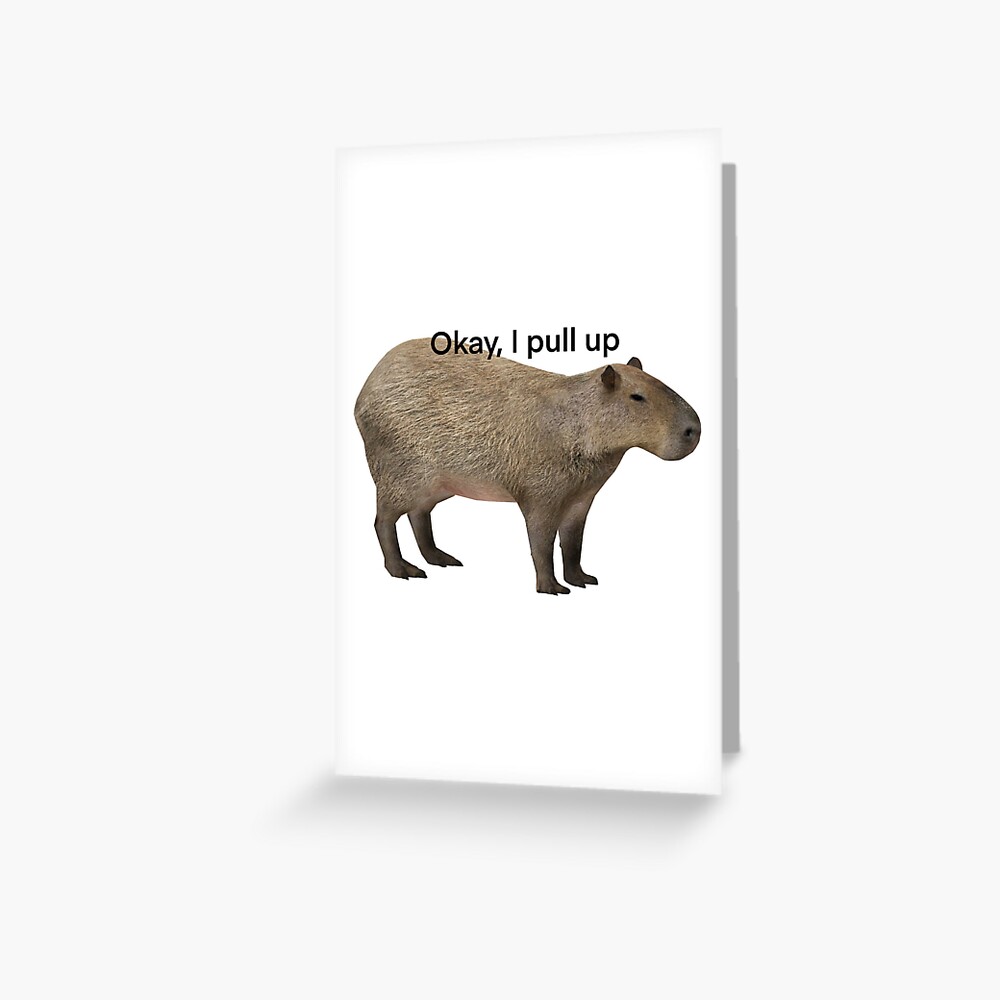 "Capybara Meme" Greeting Card for Sale by kmaydthis | Redbubble