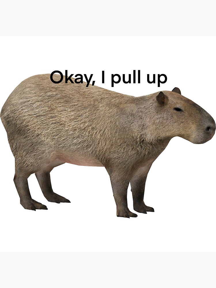 "Capybara Meme" Sticker for Sale by kmaydthis | Redbubble