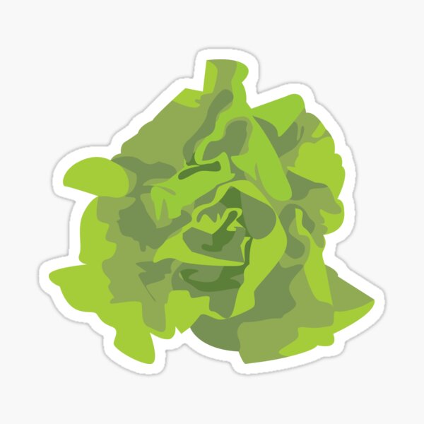 "Lettuce" Sticker for Sale by ADIAszmoneit | Redbubble