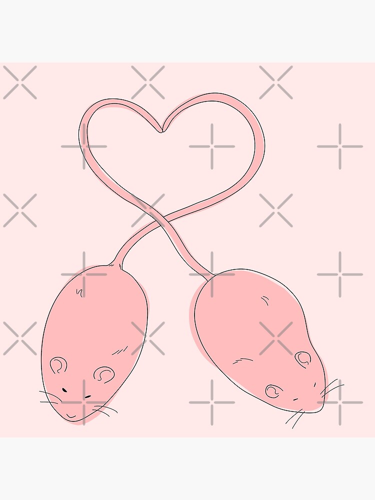 "Pink Rats Making A Heart " Poster for Sale by korlatte | Redbubble
