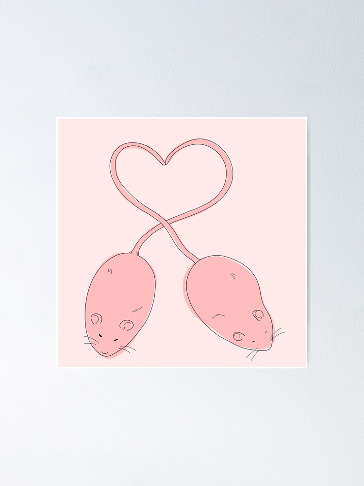 "Pink Rats Making A Heart " Poster for Sale by korlatte | Redbubble
