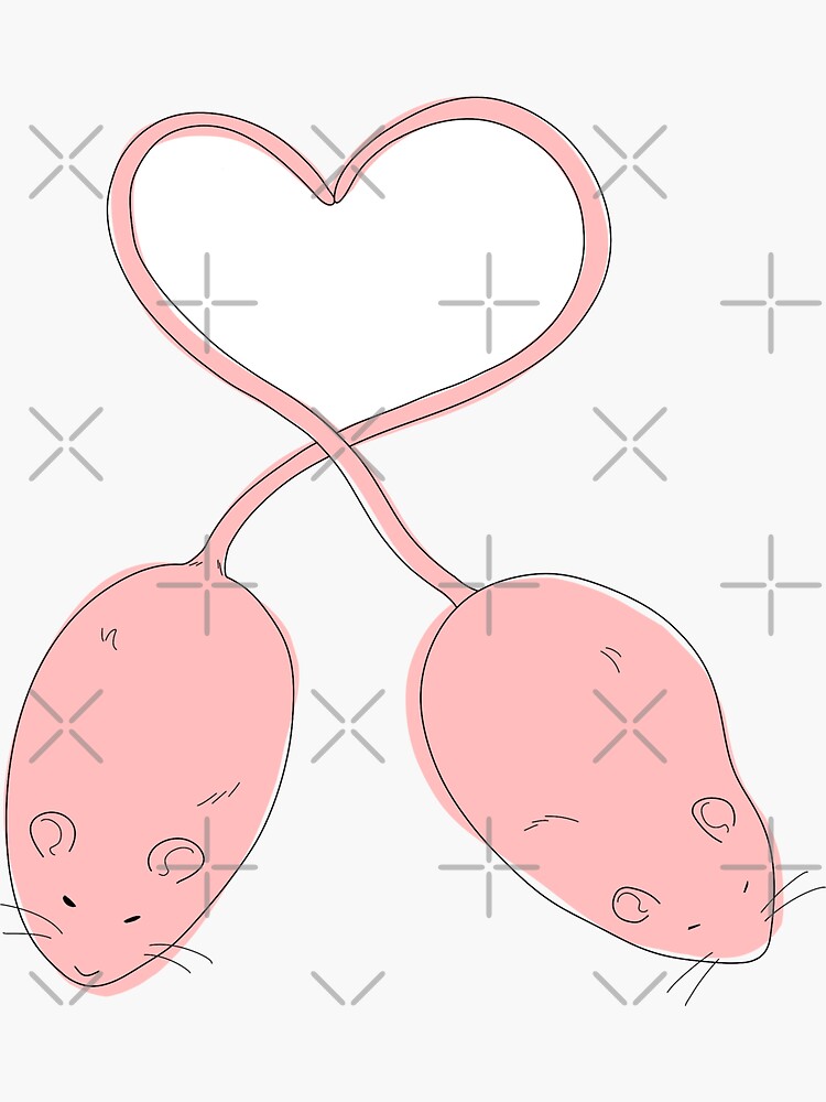 "Pink Rats Making A Heart " Sticker for Sale by korlatte | Redbubble