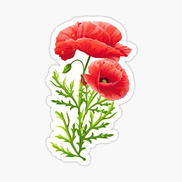 "Poppy" Sticker for Sale by justrachna | Redbubble