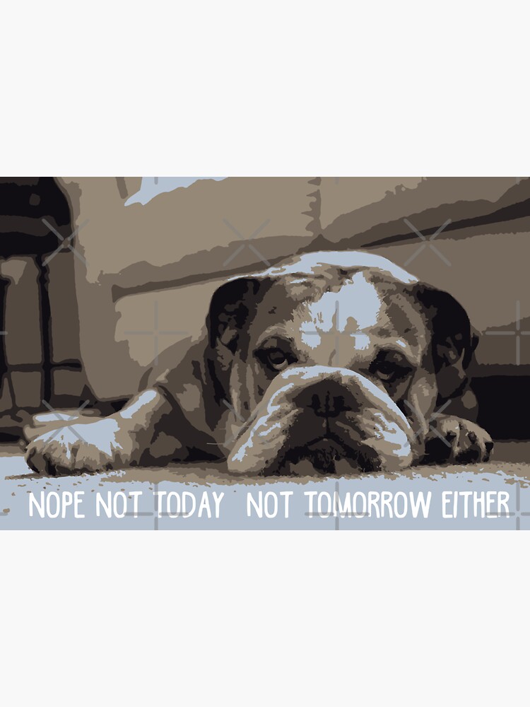 "Nope not Today Not Tomorrow either" Sticker for Sale by SDDdesigns ...