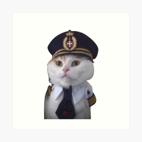 "Funny Aviation Cat Pilot Meme" Art Print for Sale by avionbubble ...