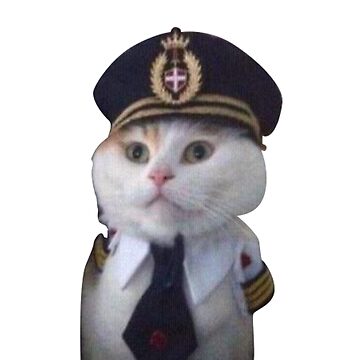 "Funny Aviation Cat Pilot Meme" Sticker for Sale by avionbubble | Redbubble