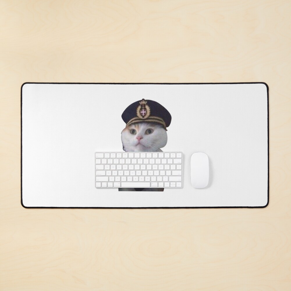"Funny Aviation Cat Pilot Meme" Sticker for Sale by avionbubble | Redbubble