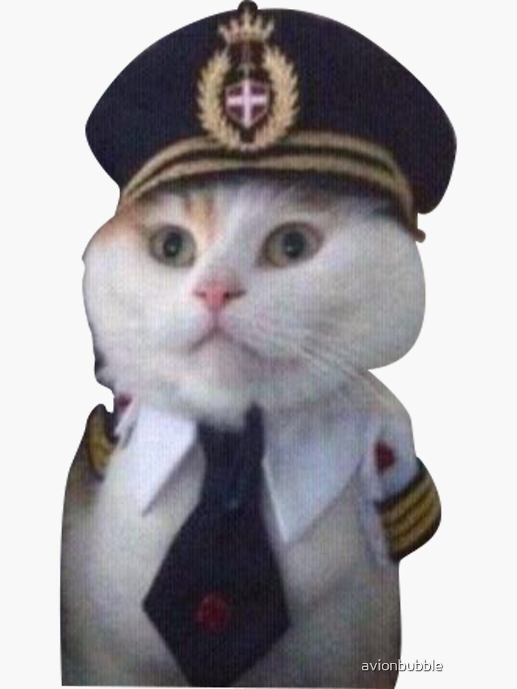 "Funny Aviation Cat Pilot Meme" Sticker for Sale by avionbubble | Redbubble