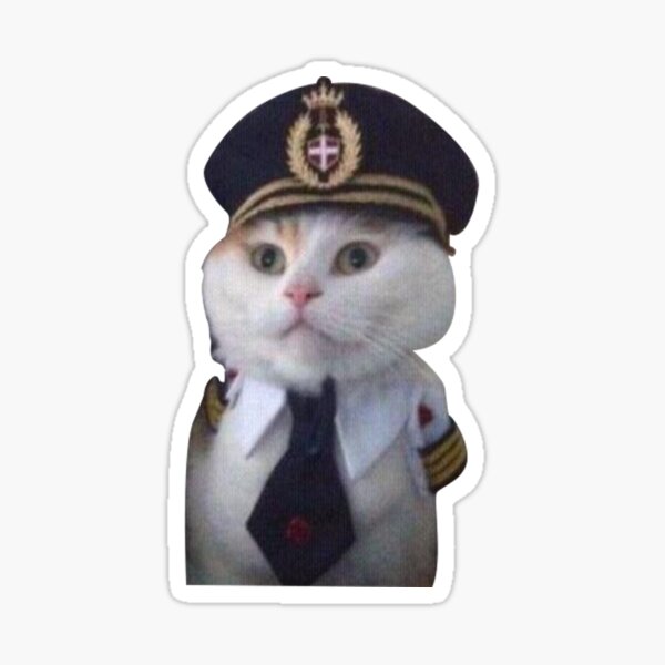 "Funny Aviation Cat Pilot Meme" Sticker for Sale by avionbubble | Redbubble