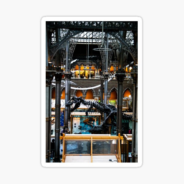 "Museum natural history Oxford" Sticker for Sale by NynkeAltenburg ...