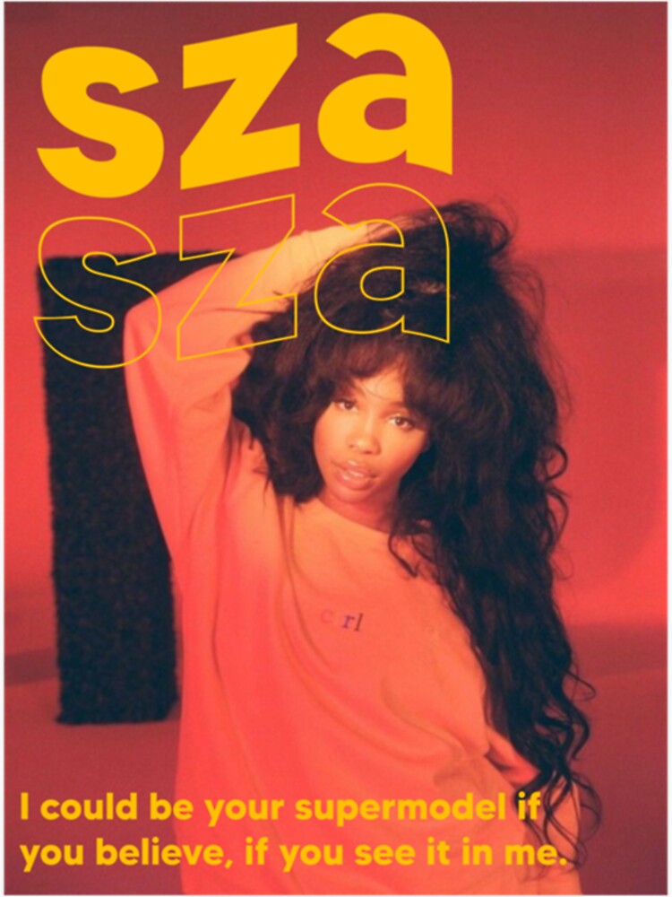 "sza collage " Sticker for Sale by Puppydogplai | Redbubble