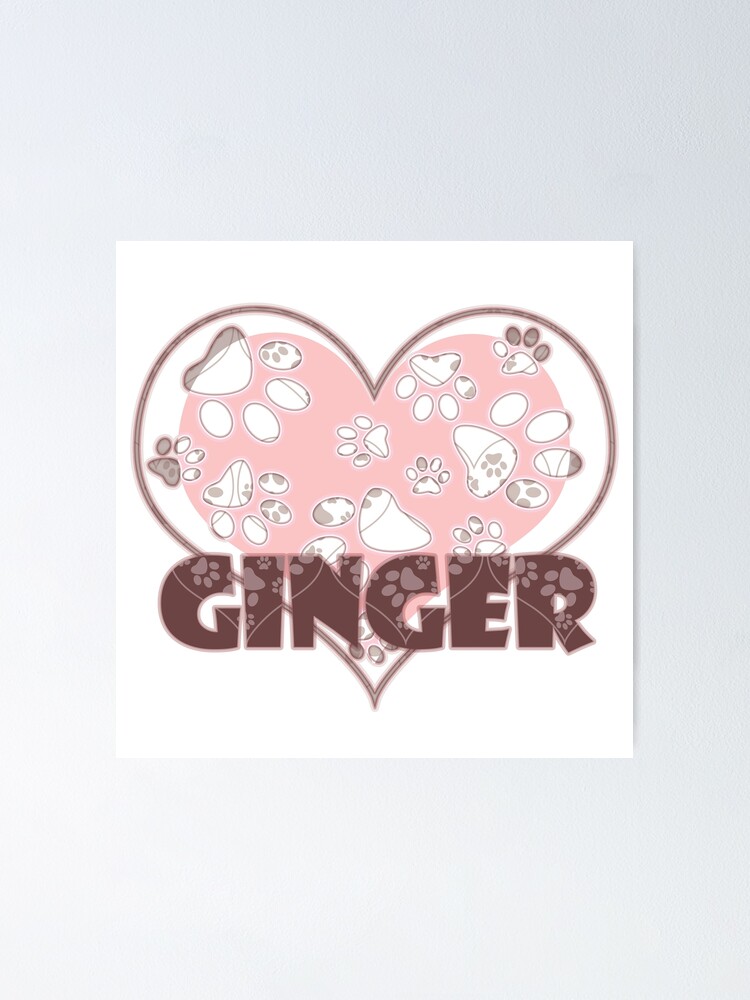 "Love GINGER with Cute Pink Paw" Poster for Sale by DDG22 | Redbubble
