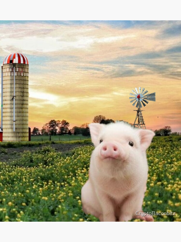 "Hamlets Day Out " Sticker for Sale by CryptoBaconbitz | Redbubble