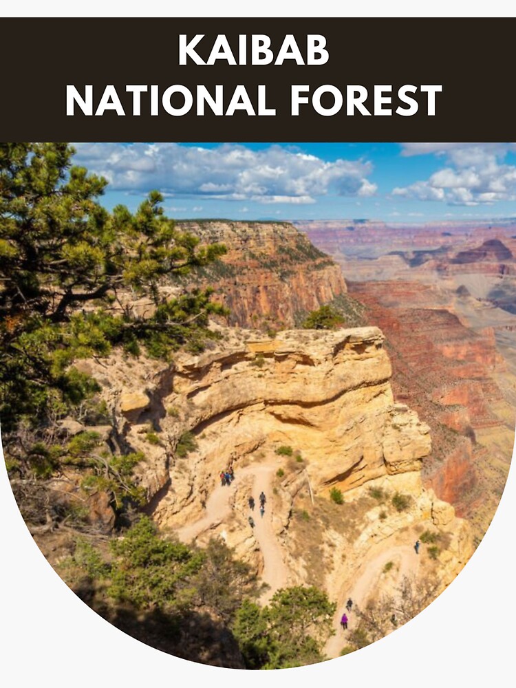 "Kaibab National Forest" Sticker for Sale by AdventurePlains | Redbubble