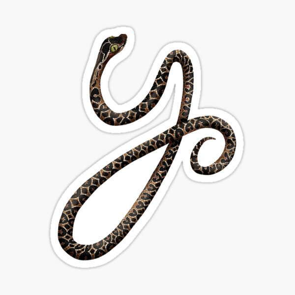 "Y - Yarara" Sticker for Sale by miim-ilustra | Redbubble
