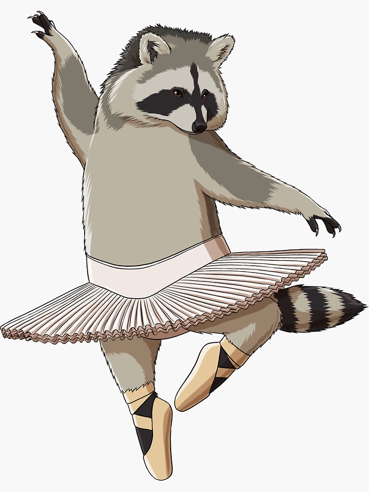 "Funny Ballet Dancer Ballerina Raccoon" Sticker for Sale by alwe ...