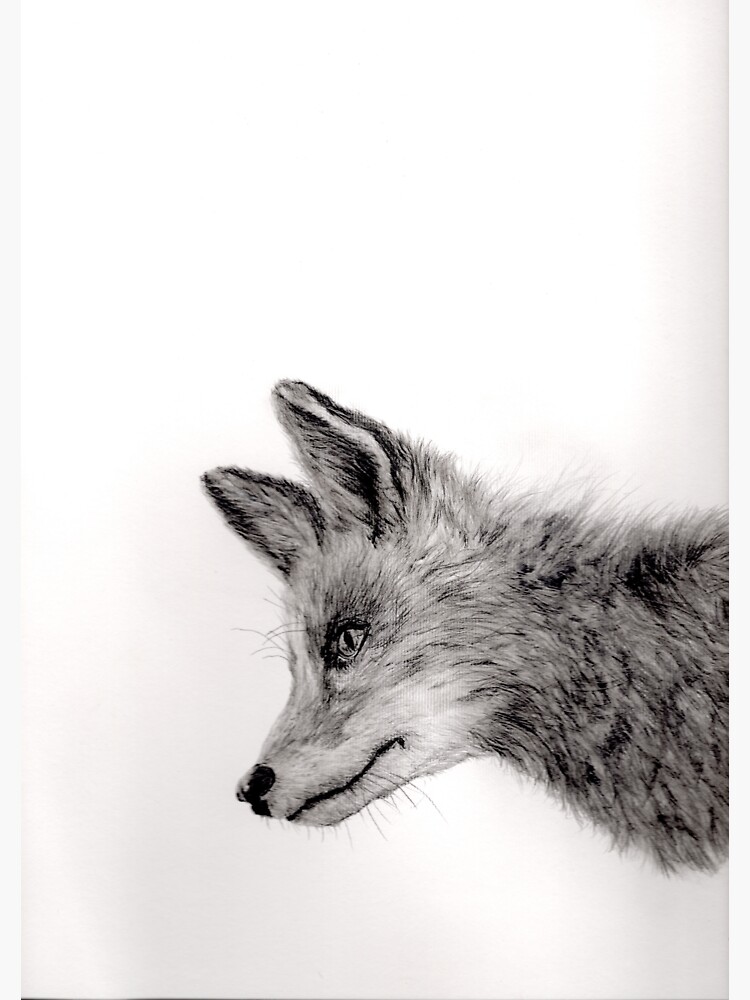 "Fox, graphite pencil drawing." Sticker for Sale by Maradderzart ...