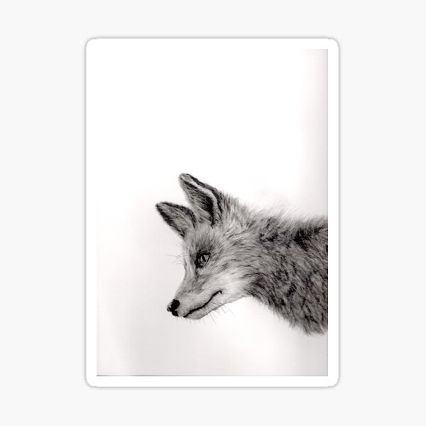"Fox, graphite pencil drawing." Sticker for Sale by Maradderzart ...