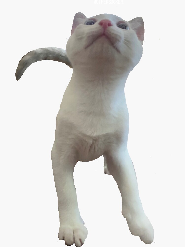 "Lotion The Cat Mothersucker" Sticker for Sale by LotionTheCat | Redbubble