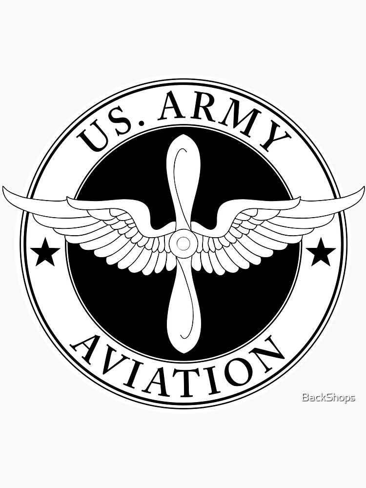 Army Pilot Logo Patch. Army Badge With Wings And A Star. Logo, Logo Or
