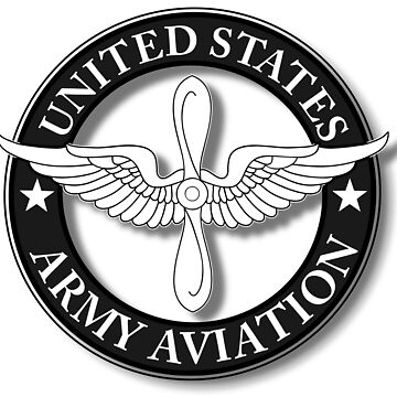 Army Pilot Logo Patch. Army Badge With Wings And A Star. Logo, Logo Or
