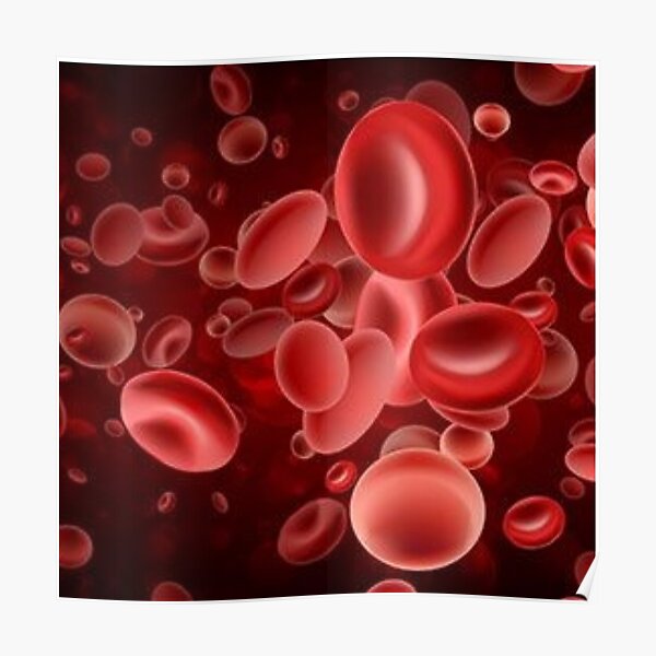 "Red Blood cells patterns" Poster for Sale by samahelshaer | Redbubble