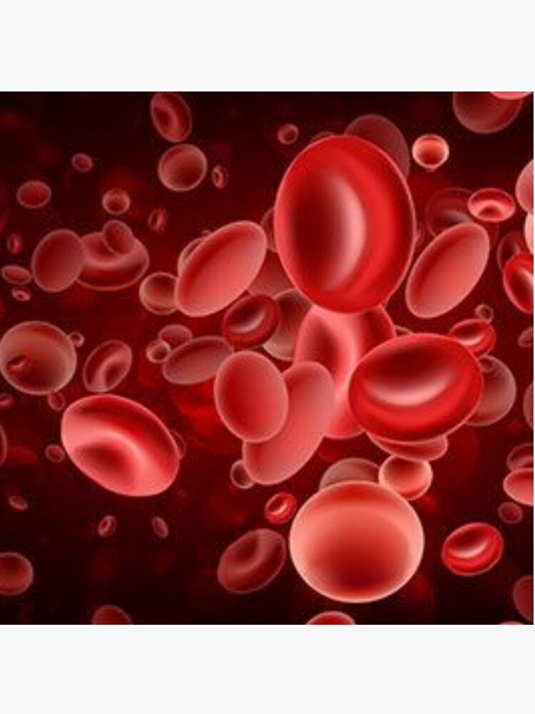 "Red Blood cells patterns" Sticker for Sale by samahelshaer | Redbubble