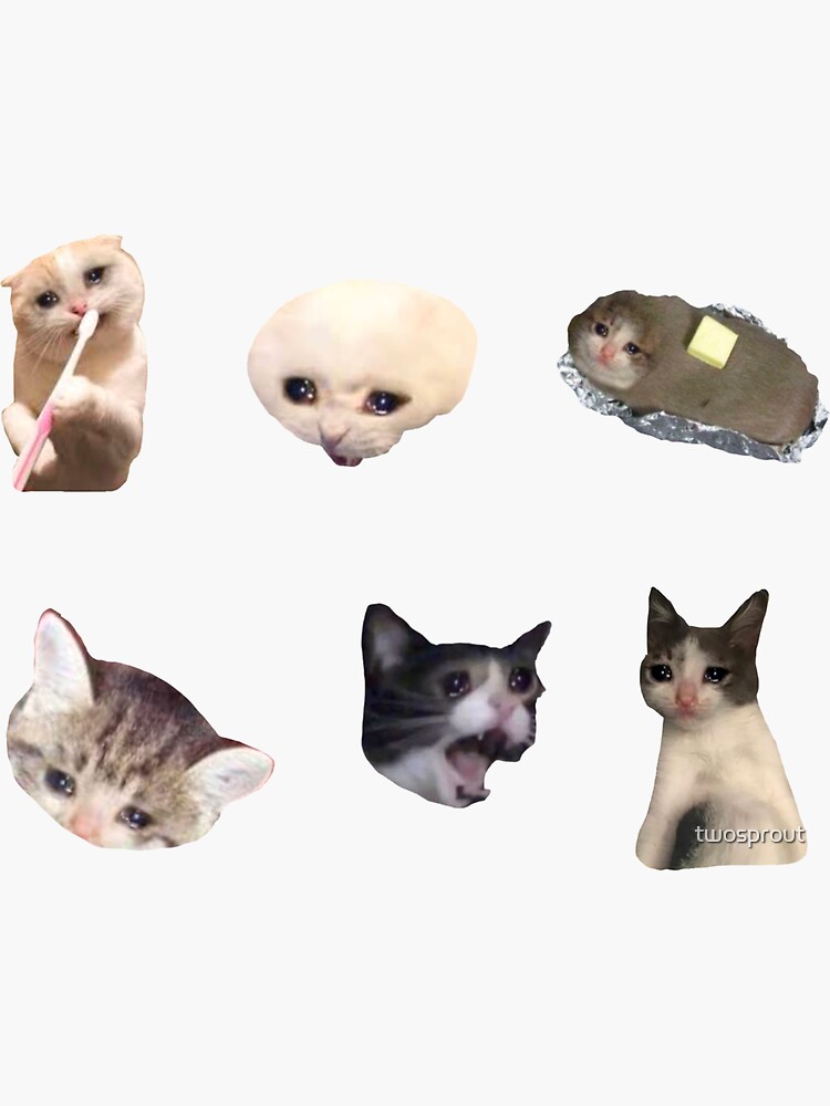 "Crying Cat Sticker Pack" Sticker for Sale by twosprout | Redbubble