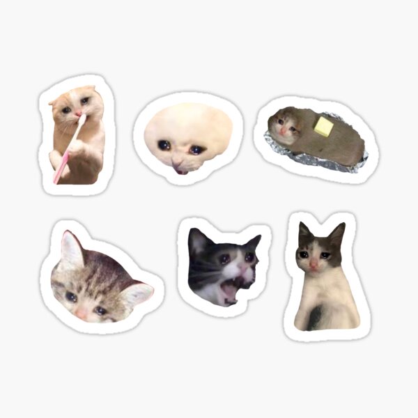 "Crying Cat Sticker Pack" Sticker for Sale by twosprout | Redbubble