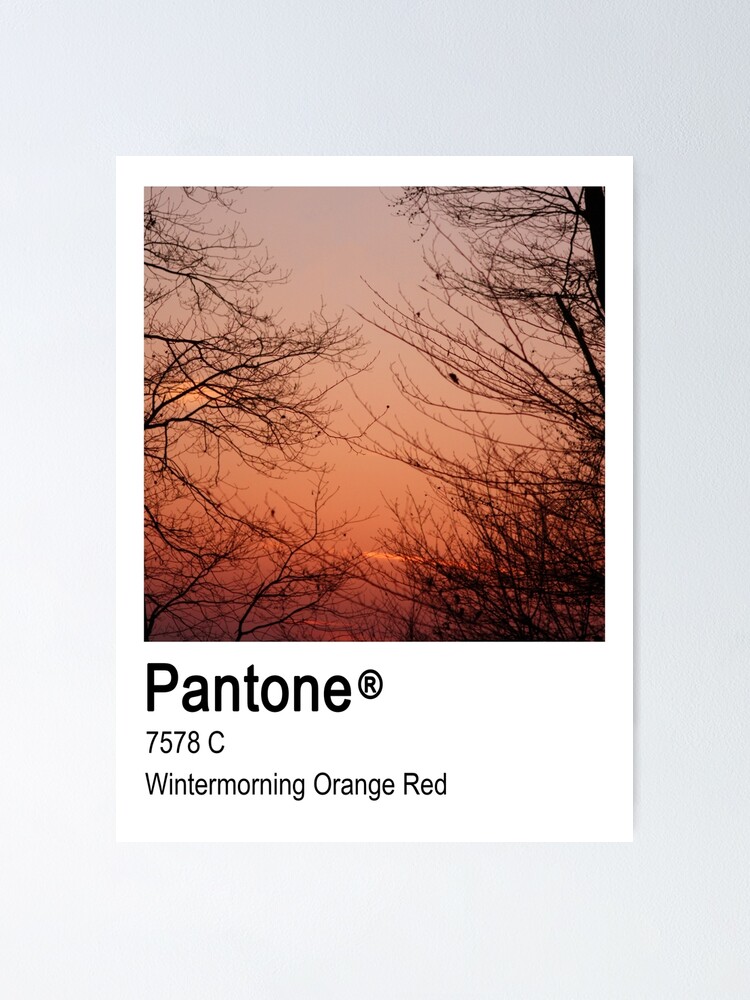 "Pantone Winter Morning Orange Red" Poster for Sale by CameraO | Redbubble