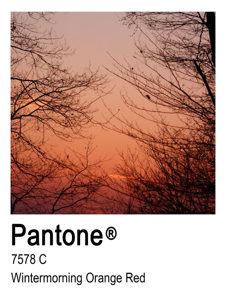 "Pantone Winter Morning Orange Red" Sticker for Sale by CameraO | Redbubble