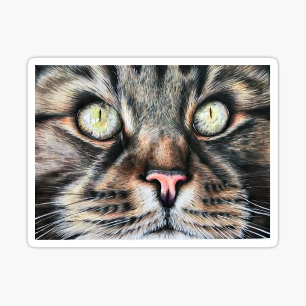 "Watchful eyes (close up tabby cat face)" Sticker for Sale by KEEart100 ...