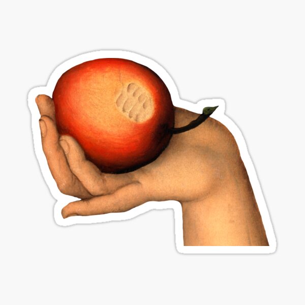 "An Apple (Forbidden fruit) - Lucas Cranach" Sticker for Sale by ...